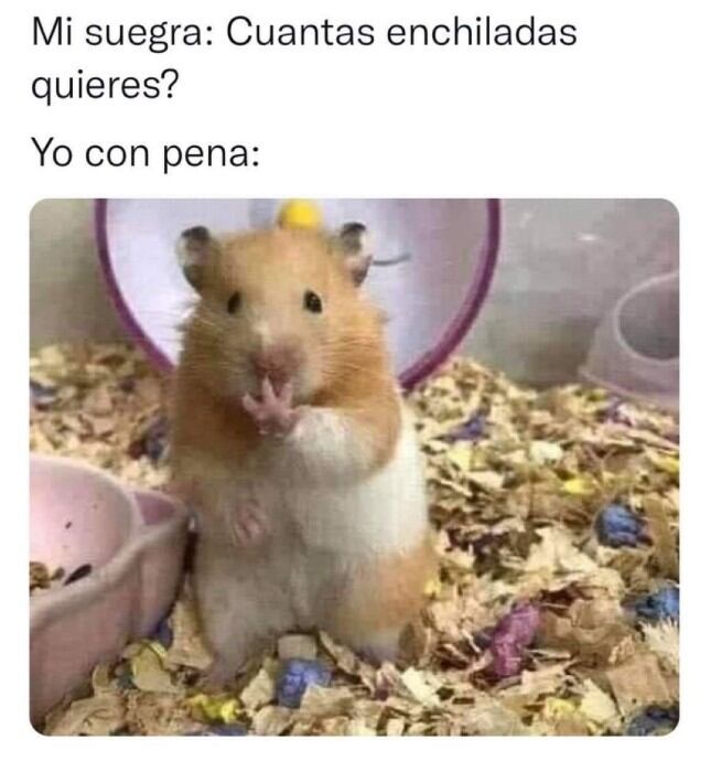 10 memes del Día de la Suegra con los que te sentirás identificado