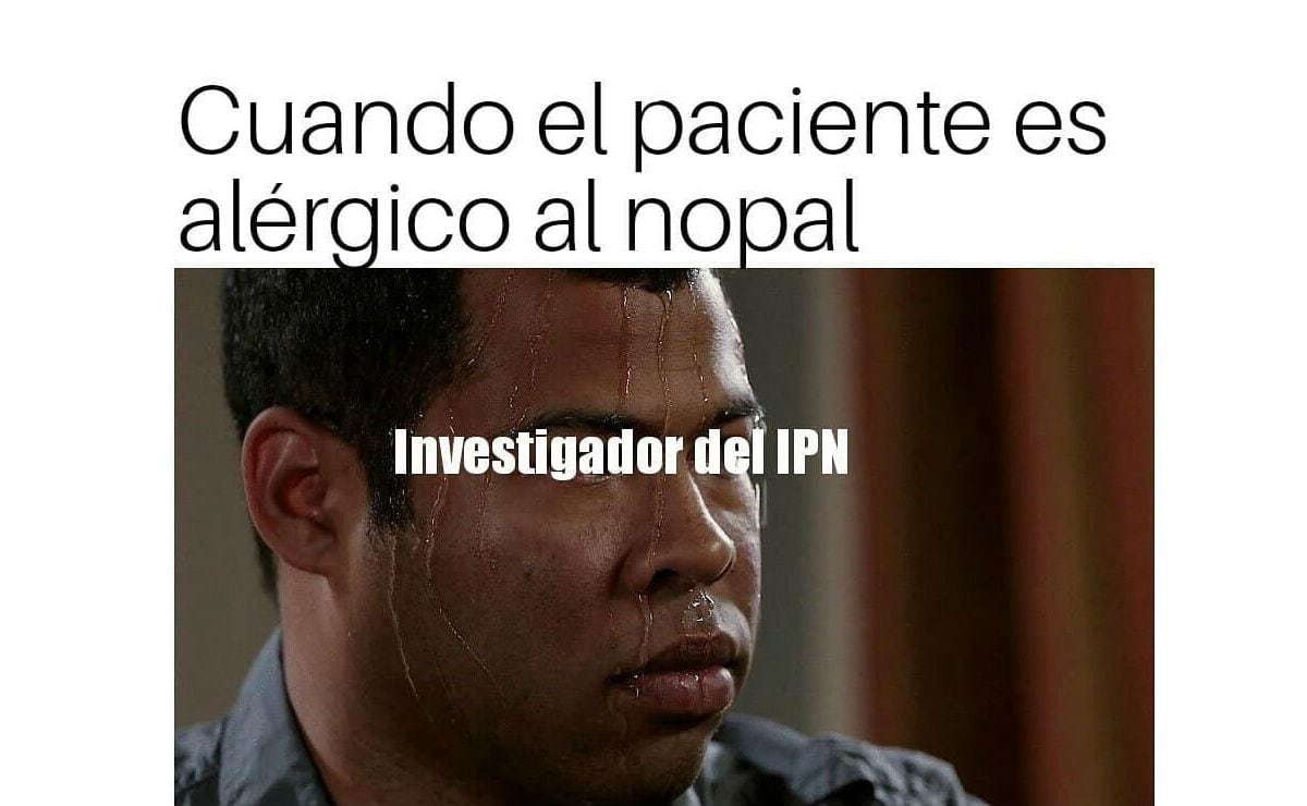 ¡Feliz Día del Politécnico! 10 memes del IPN y su obsesión con el nopal ...