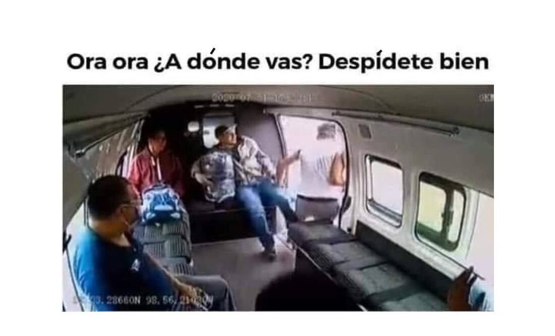 Los 10 mejores memes del ratero de la combi golpeado | De10 Sports